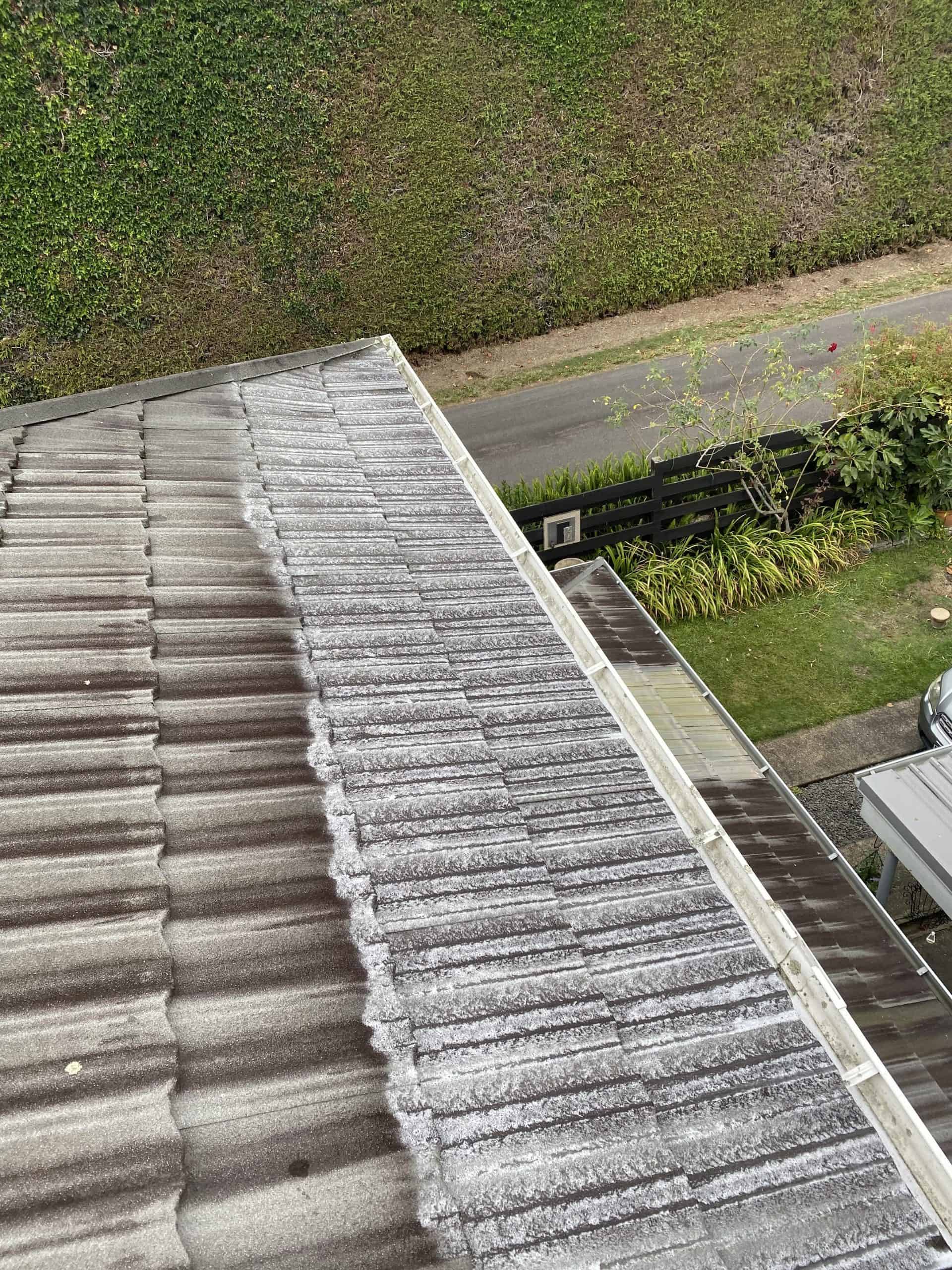 Moss & Mold Spraying | High Level Solutions